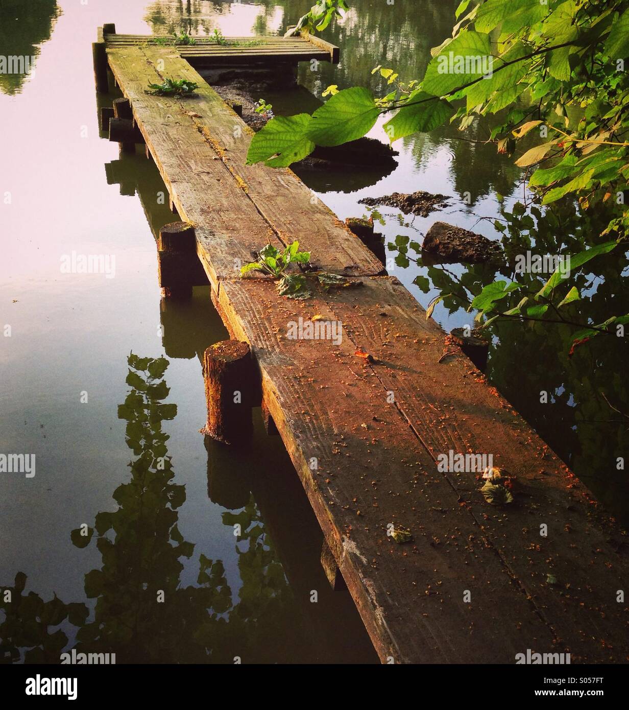 Pond jetty hi-res stock photography and images - Alamy