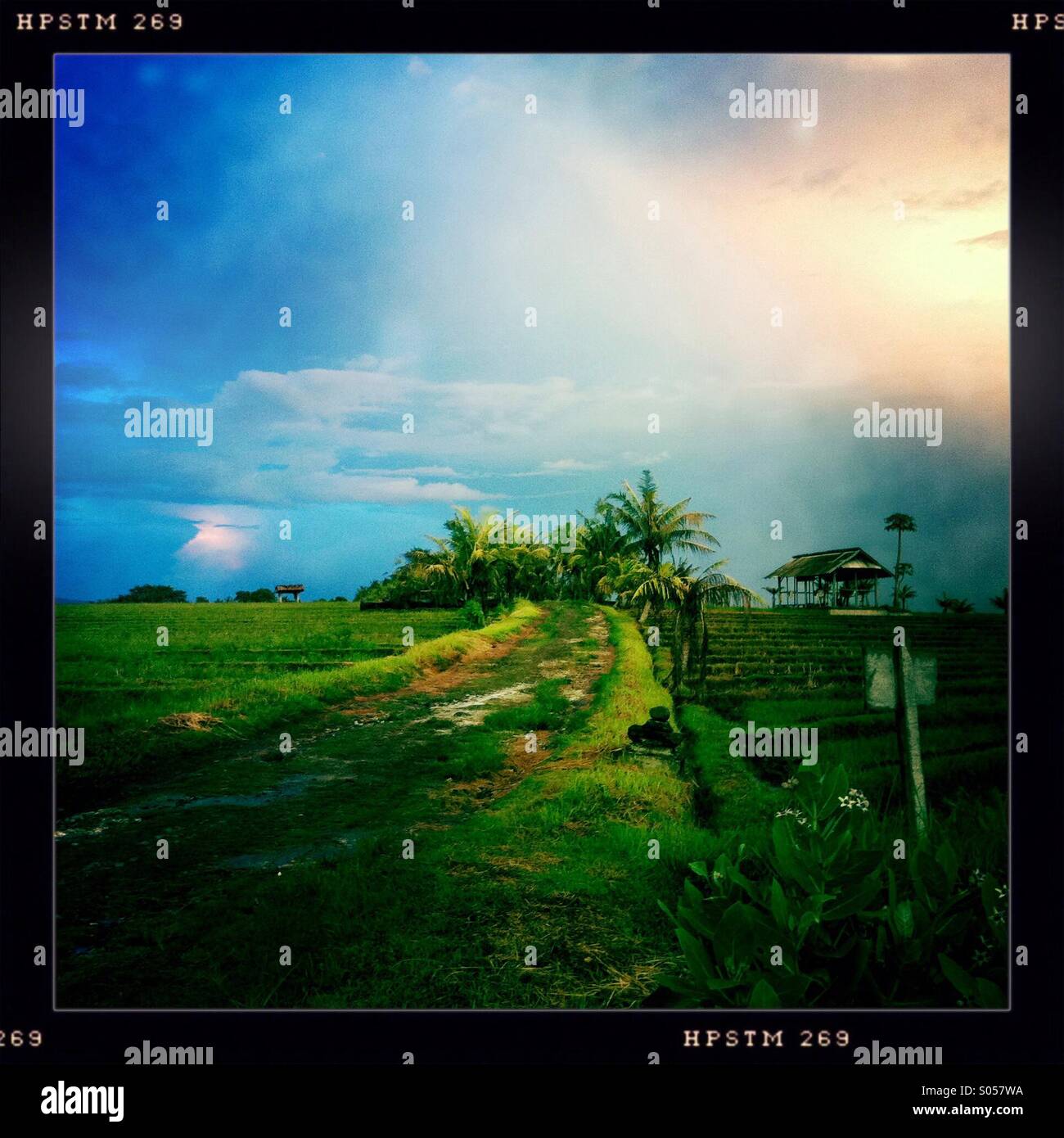 Tropical fields hi-res stock photography and images - Alamy