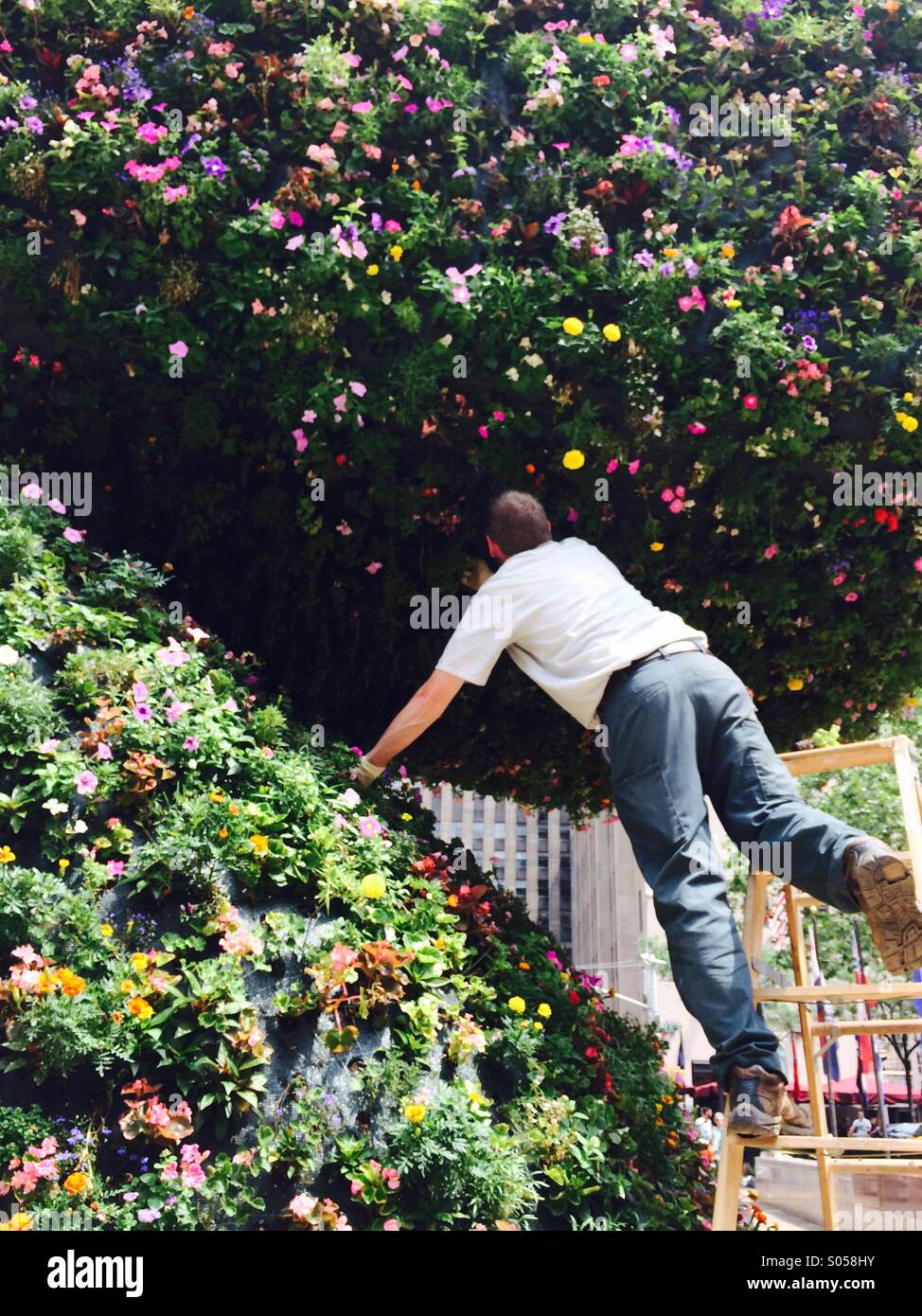 Man ladder hi-res stock photography and images - Alamy