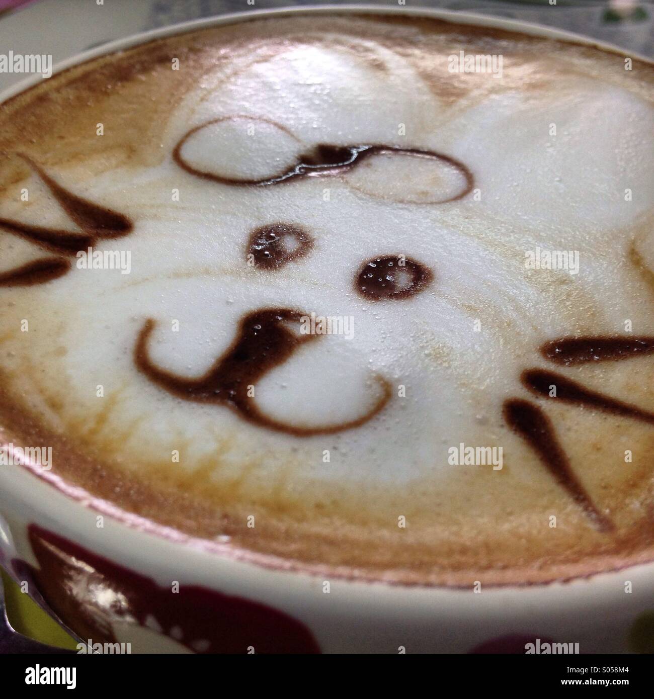 A Dog That Looks Like A Cappuccino