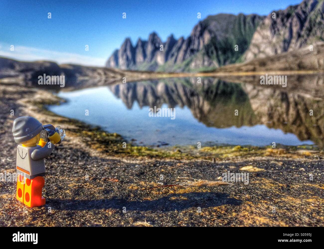 Devils Tooth High Resolution Stock Photography and Images - Alamy