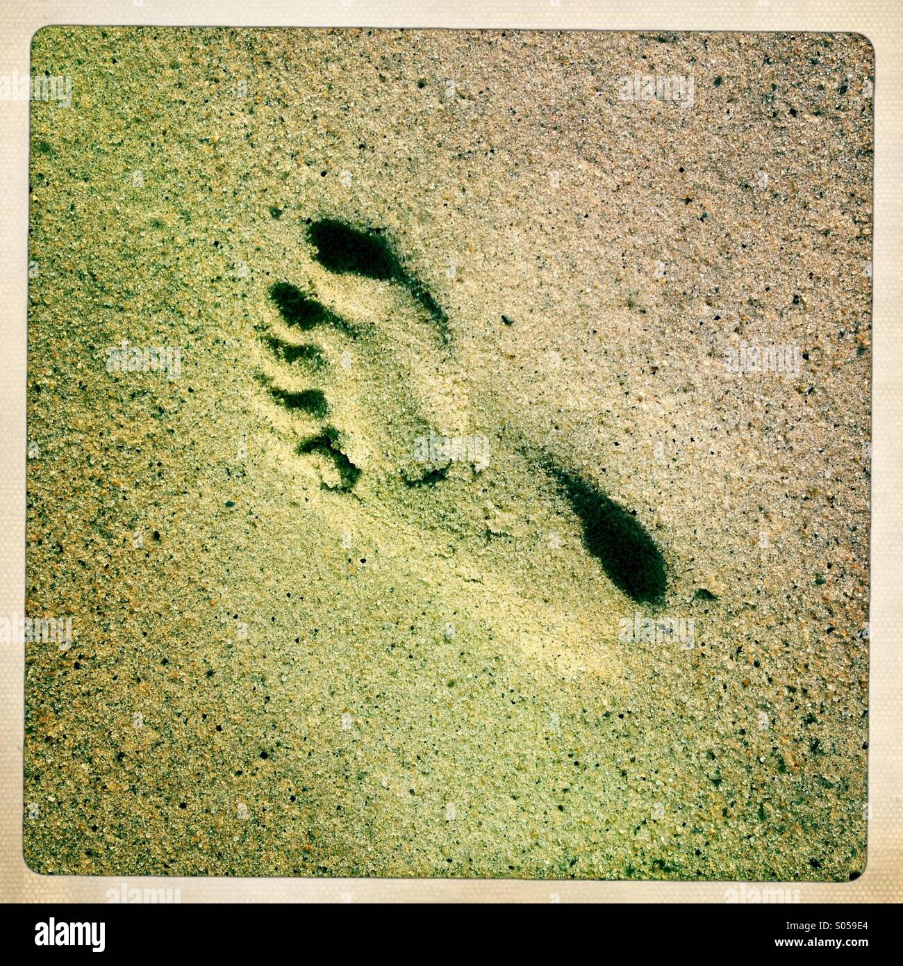 Print in sand hi-res stock photography and images - Alamy