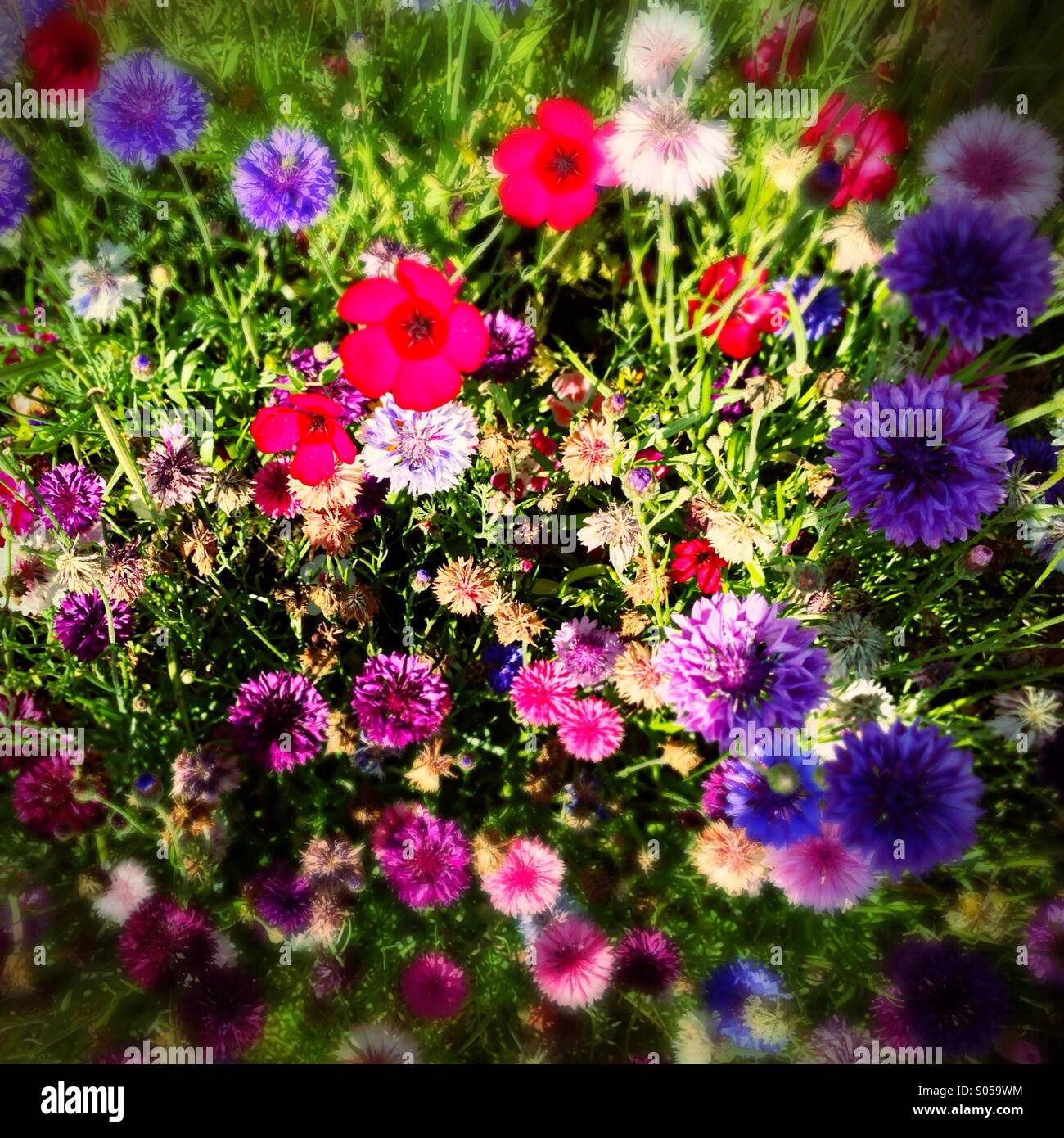 Pretty colour hi-res stock photography and images - Alamy