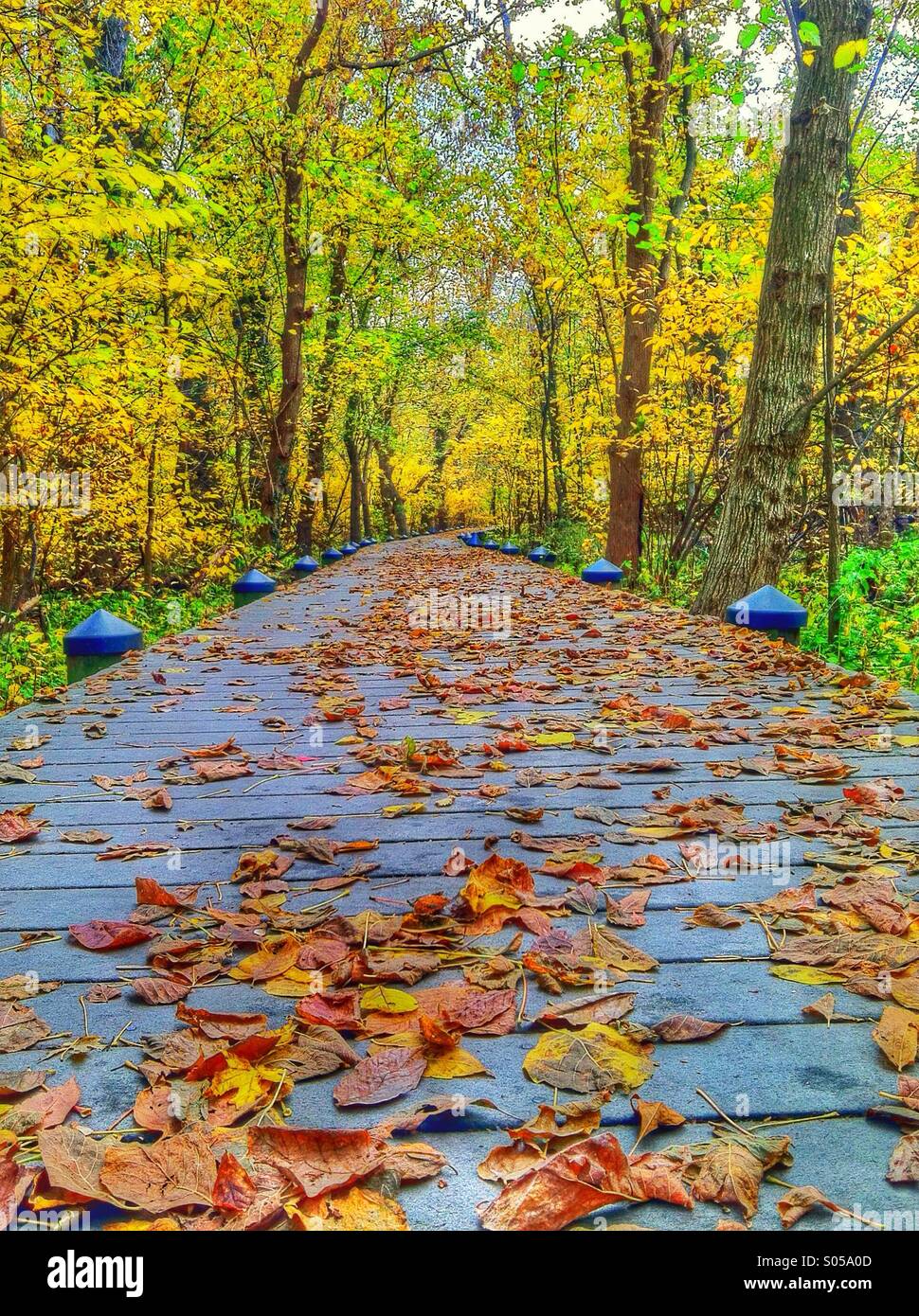 Falling low hi-res stock photography and images - Alamy
