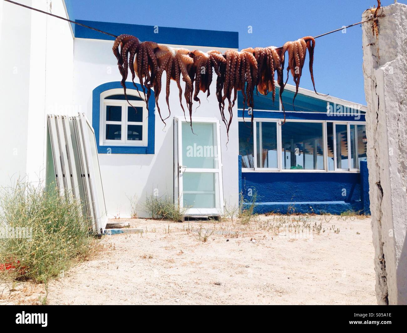 Octopus drying in sun hi-res stock photography and images - Alamy