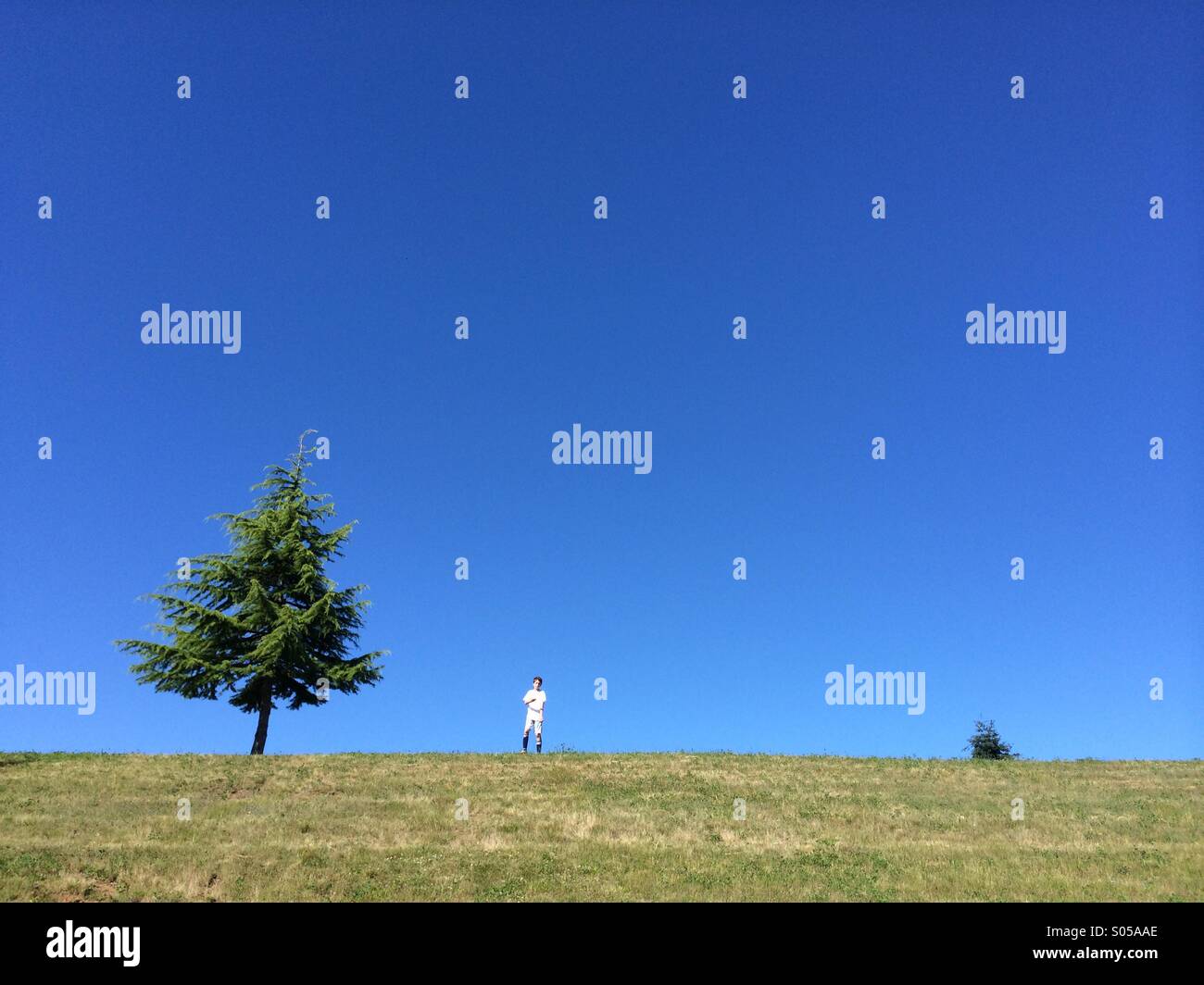 Tree boy hi-res stock photography and images - Alamy