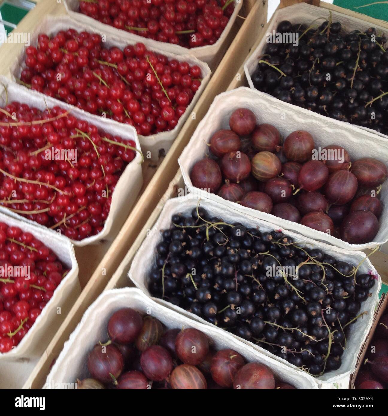 Summer berries at local market Stock Photo - Alamy