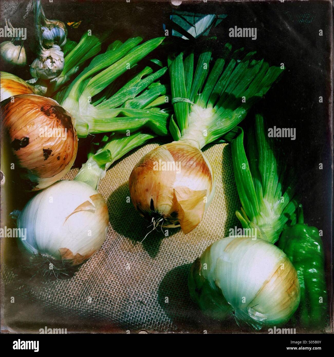 Fresh produce market hi-res stock photography and images - Alamy