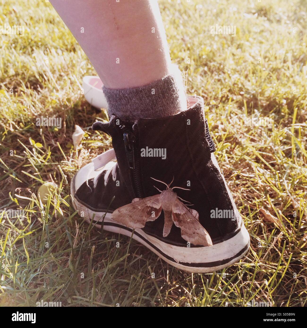 Boy shoe hi-res stock photography and images - Alamy