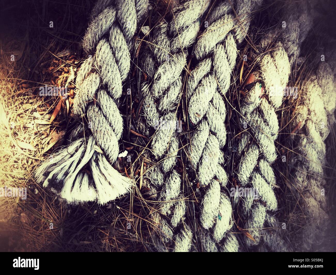 Rope end hi-res stock photography and images - Alamy