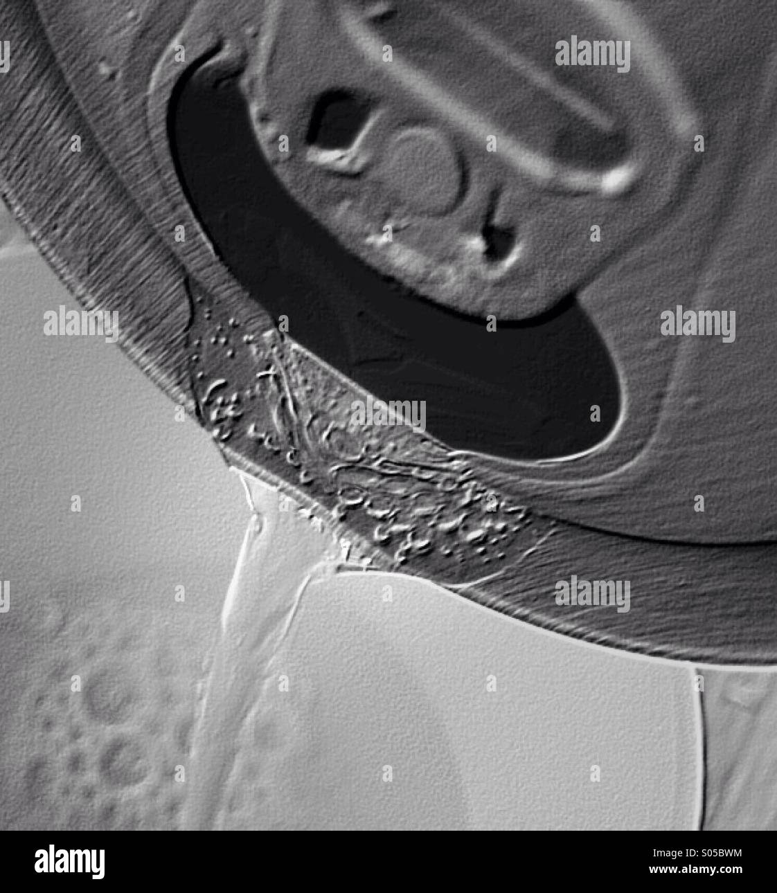 Pouring a drink into a beaker Stock Photo - Alamy