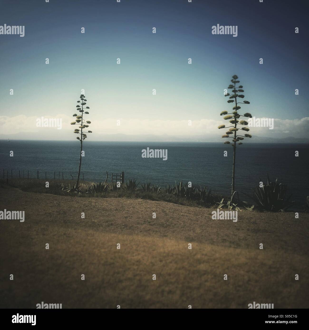 My garden view hi-res stock photography and images - Alamy