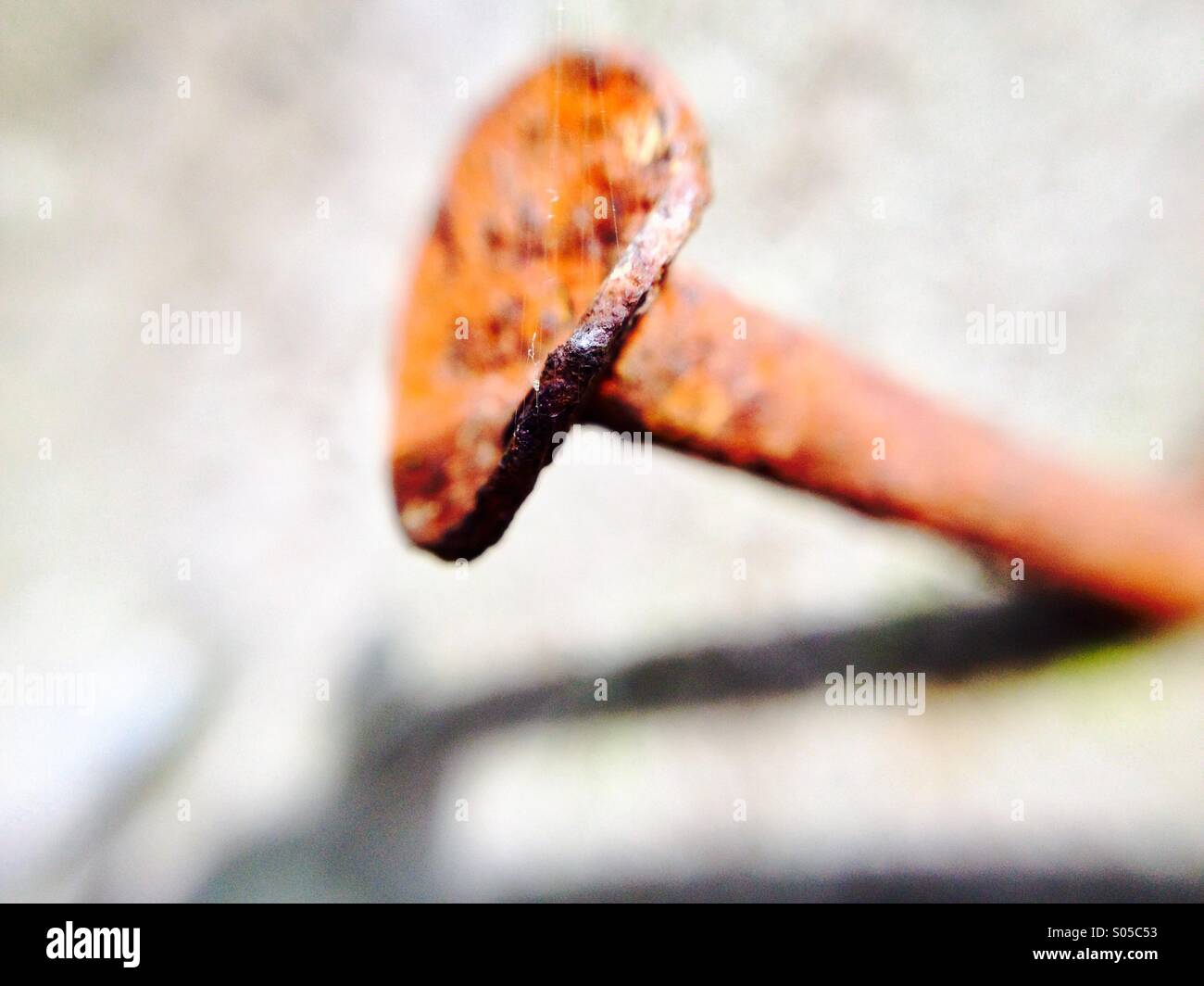 Rusty nail embedded in wood Stock Photo - Alamy