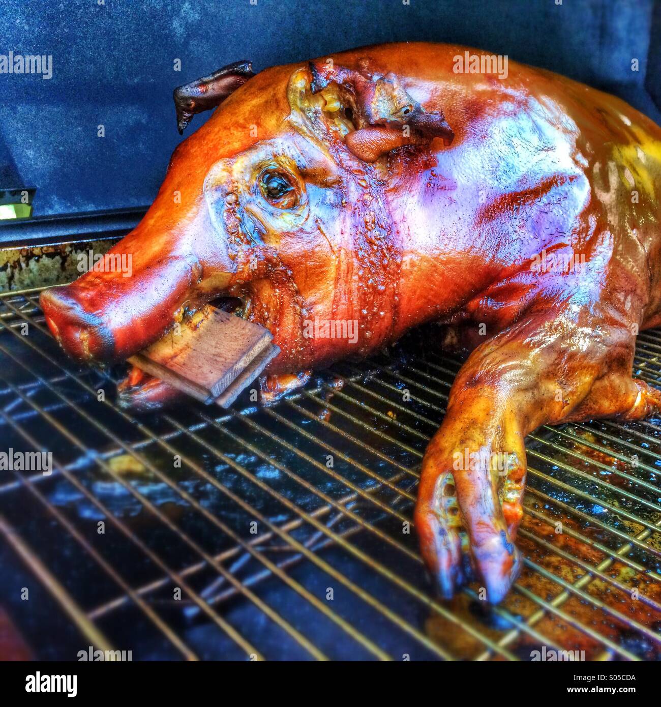 Pig roasted in barbecue Stock Photo - Alamy
