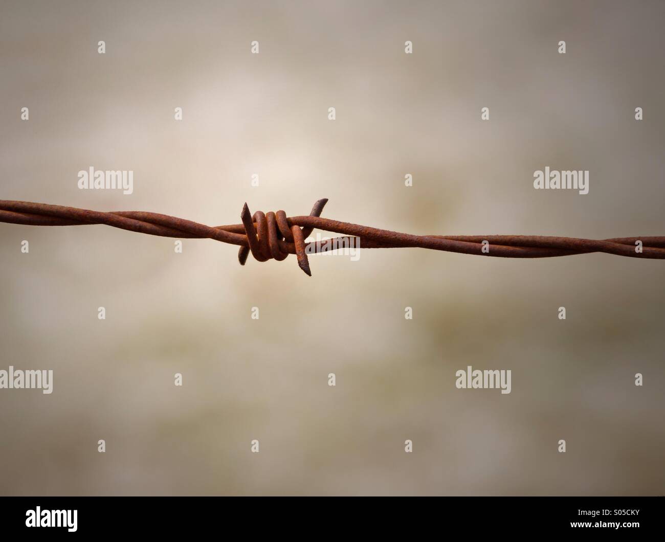 Rusted Wire Stock Photos & Rusted Wire Stock Images - Alamy