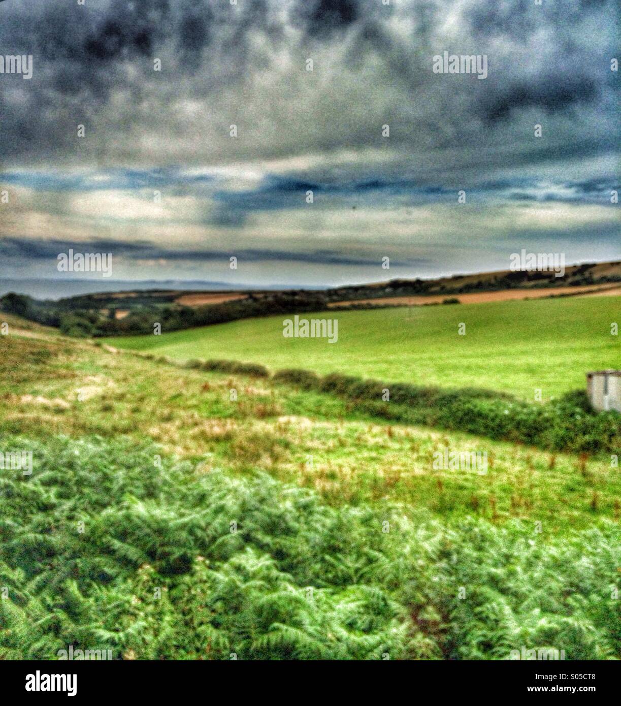 Dorset Countryside High Resolution Stock Photography and Images - Alamy