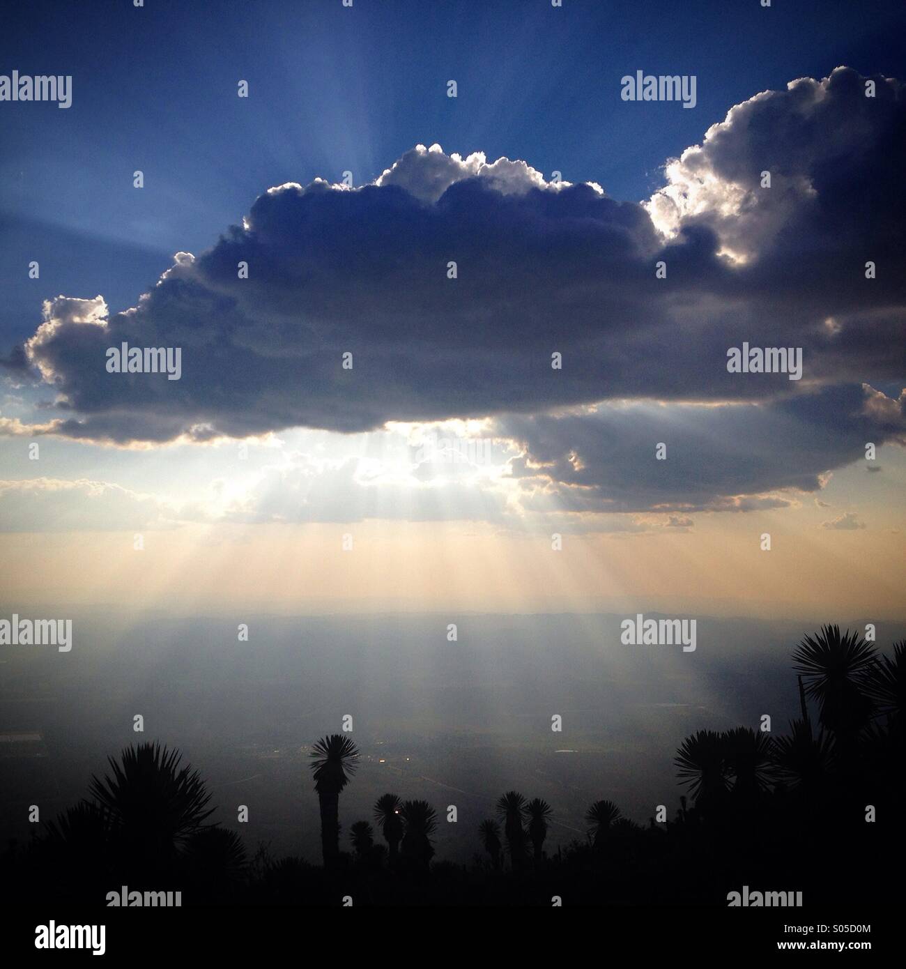 Rays of sun light behind clouds with the silhouette of palm trees in ...