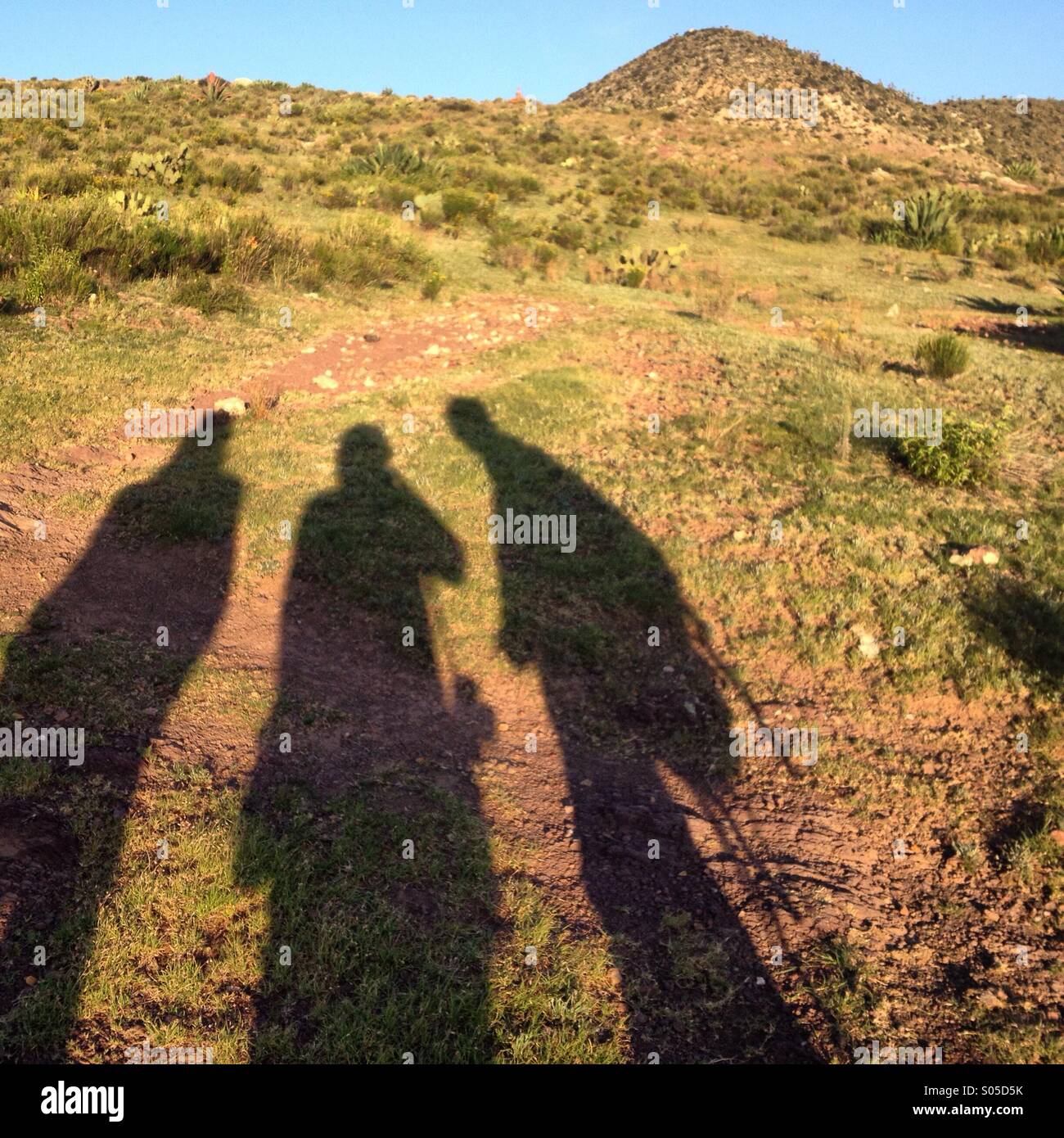 The shadow of three people is cast in Wirikuta,a sacred place for ...