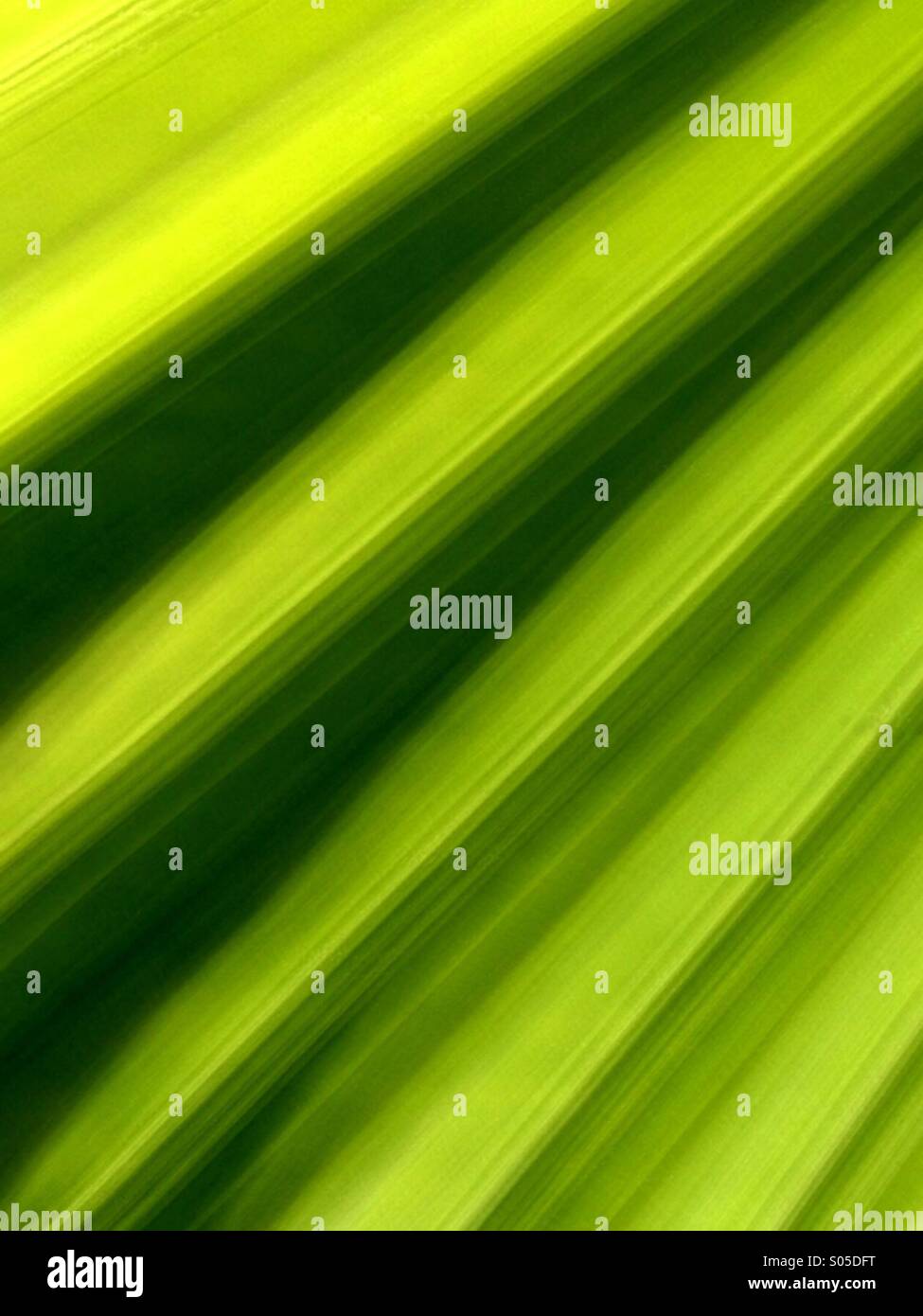 Shutter shadows hi-res stock photography and images - Alamy