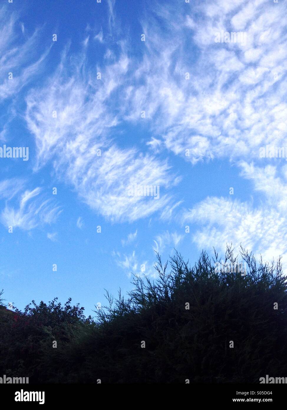 Blue summer sky with wispy cloud Stock Photo - Alamy