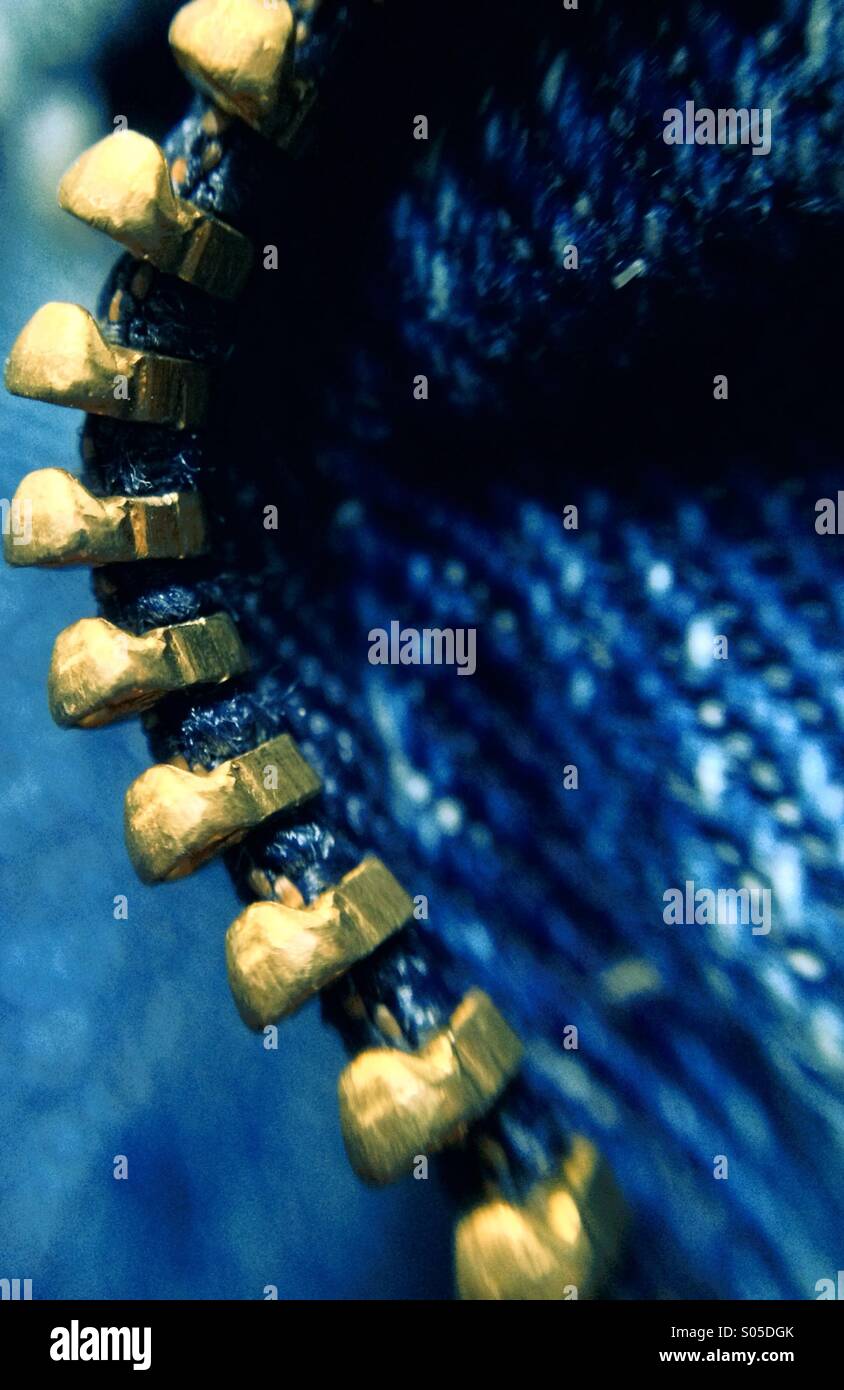 Teeth of a zip hi-res stock photography and images - Alamy