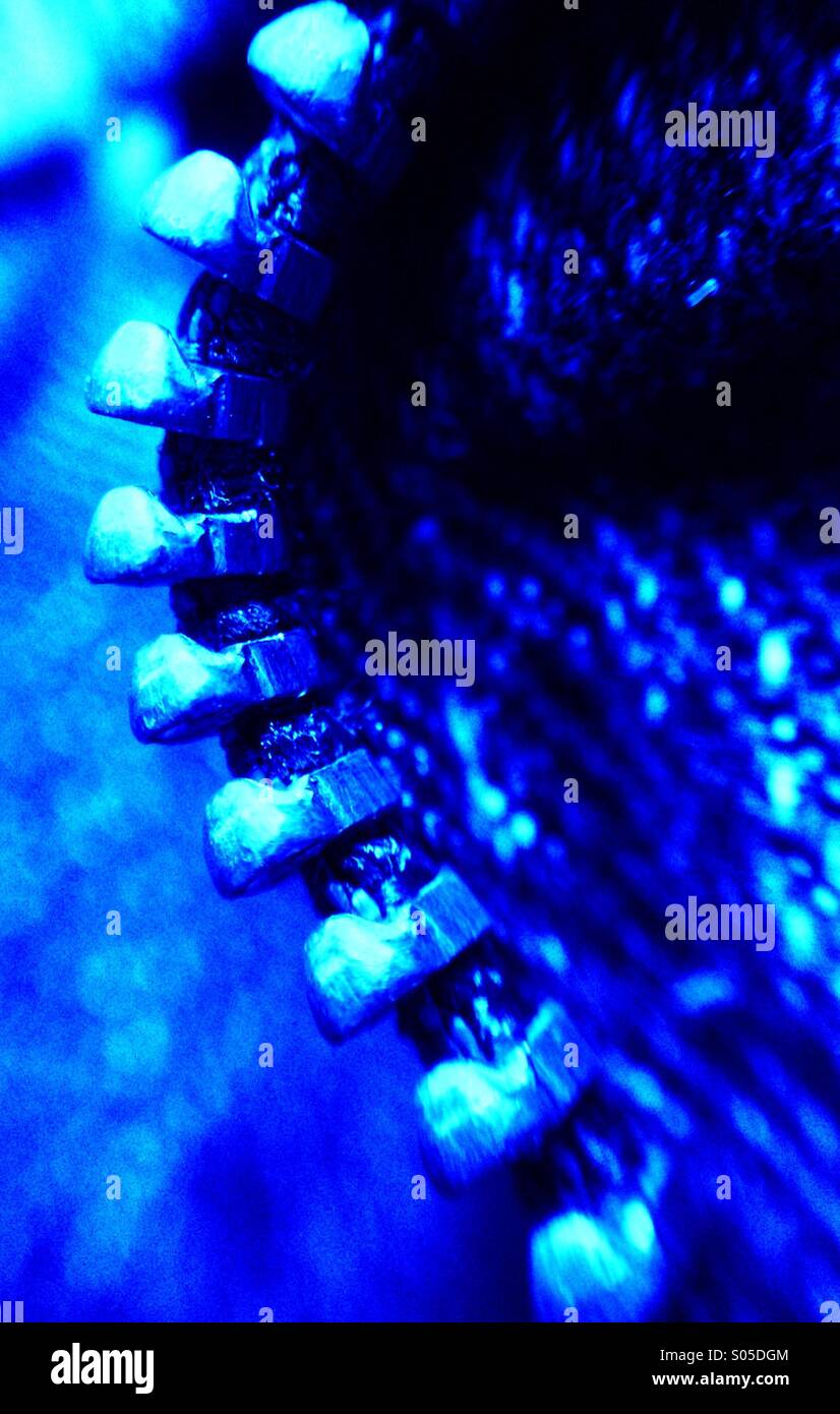 Teeth of a zip hi-res stock photography and images - Alamy