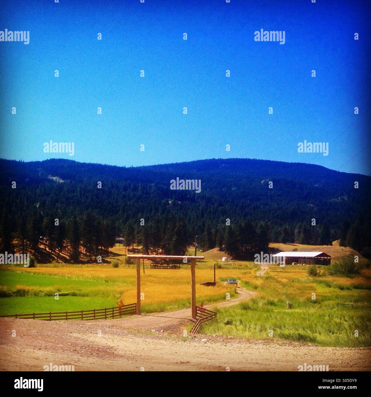 Long driveway hi-res stock photography and images - Alamy