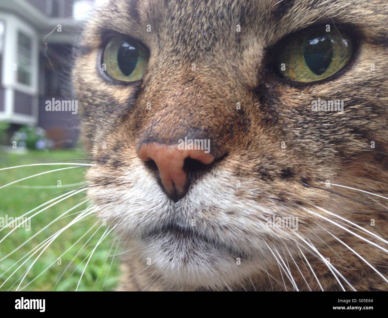 Sixteen Years Stock Photos & Sixteen Years Stock Images - Alamy