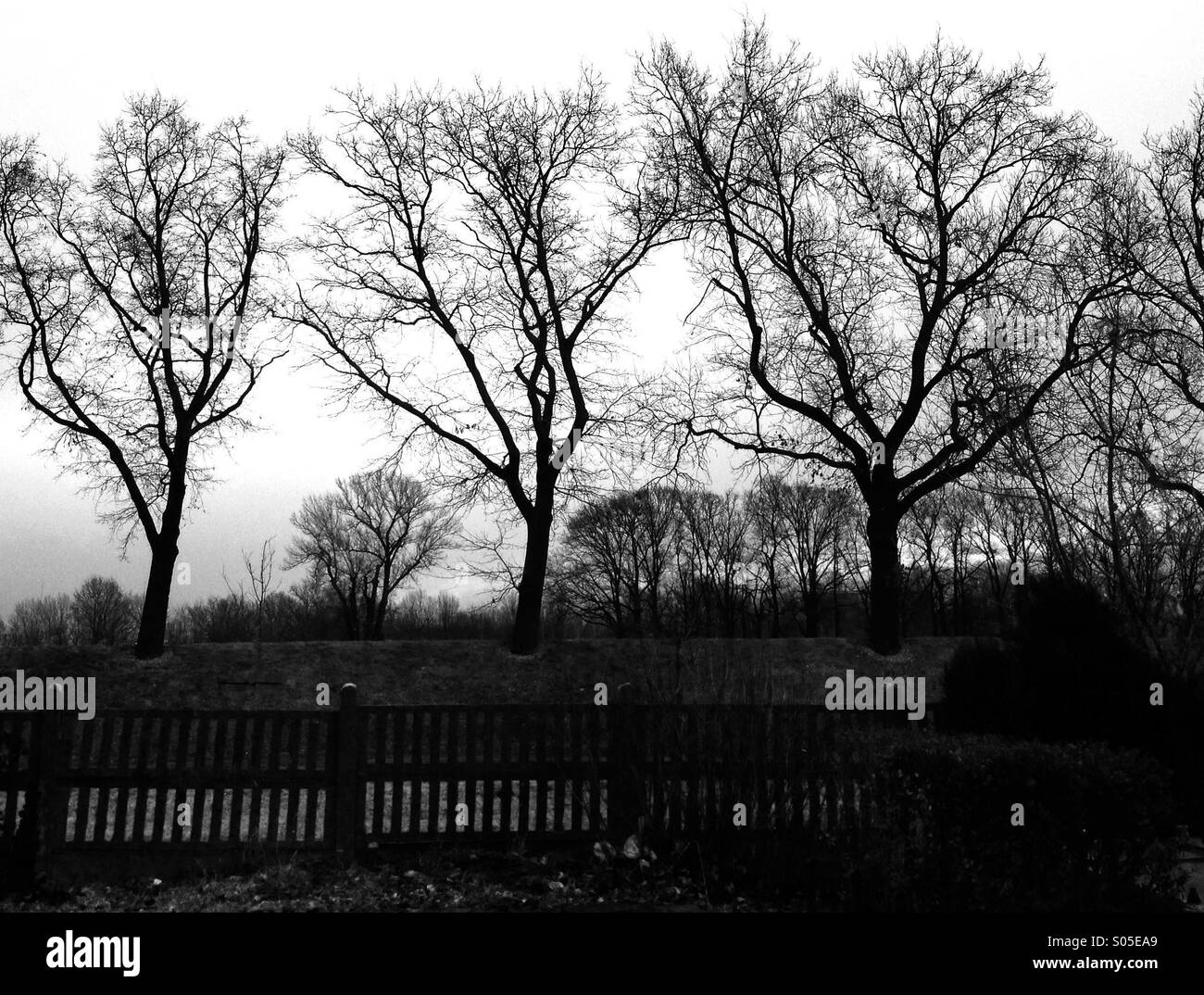 Scary black and white cemetery hi-res stock photography and images - Alamy
