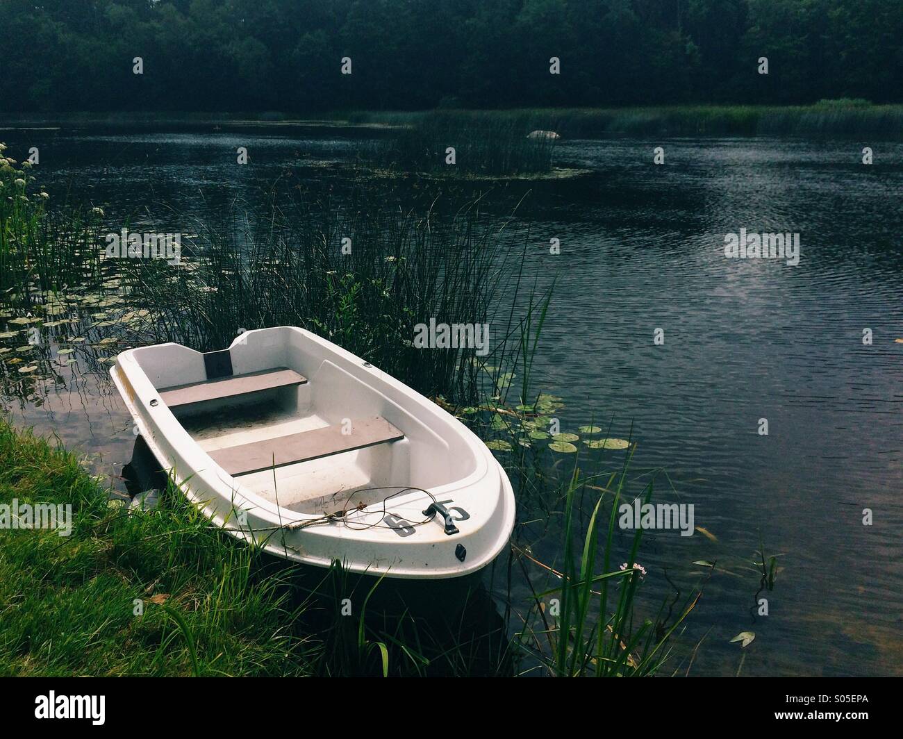 White row boat moored at lake Stock Photo - Alamy