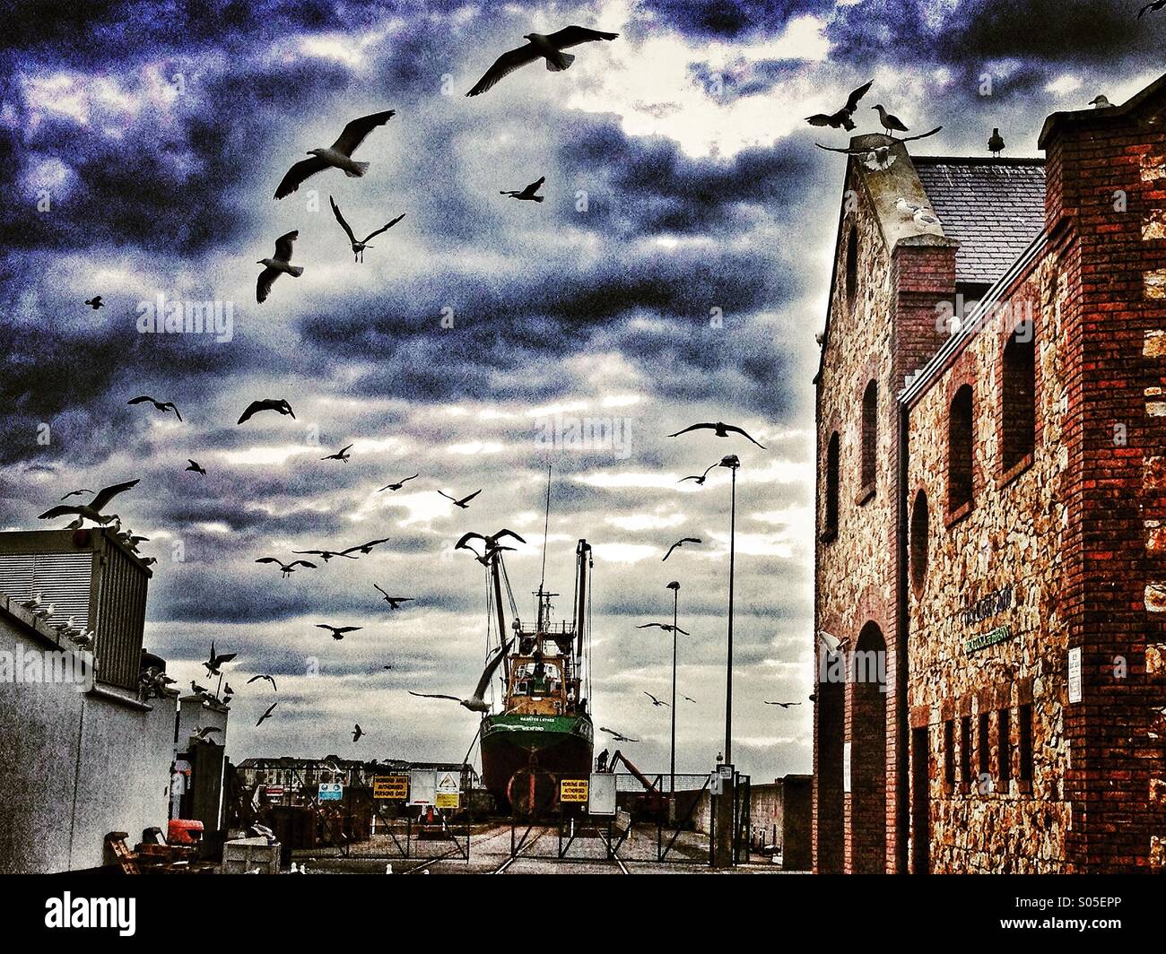 Trawler seagulls hi-res stock photography and images - Alamy