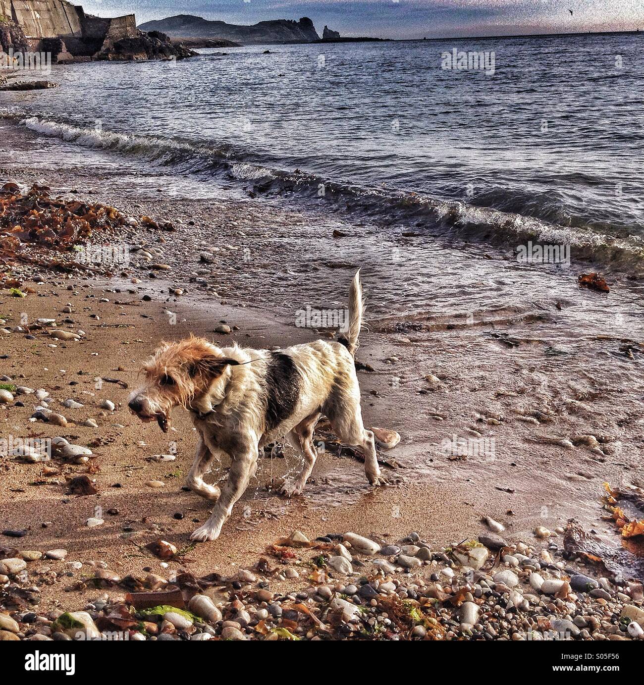 Parsons beach hi-res stock photography and images - Alamy