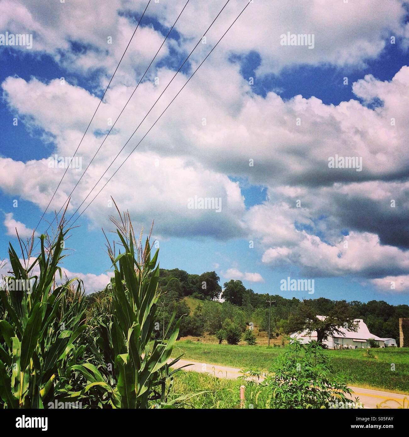 Corn field and farm Stock Photo - Alamy