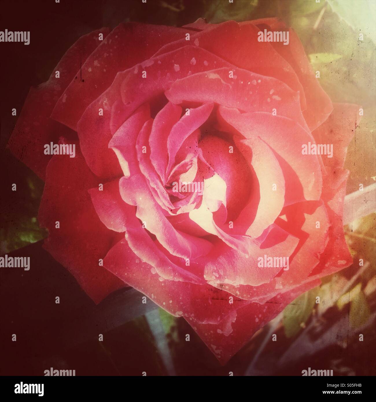 Postprocessing hi-res stock photography and images - Alamy