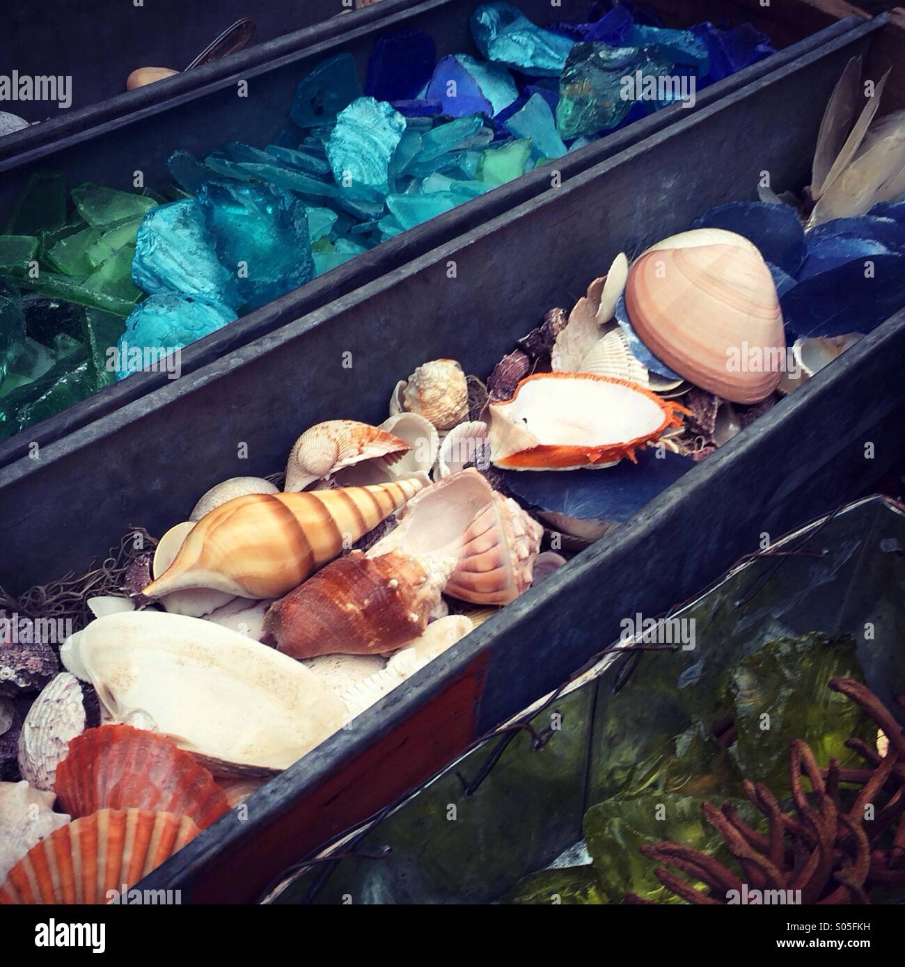 Shells and sea glass Stock Photo - Alamy