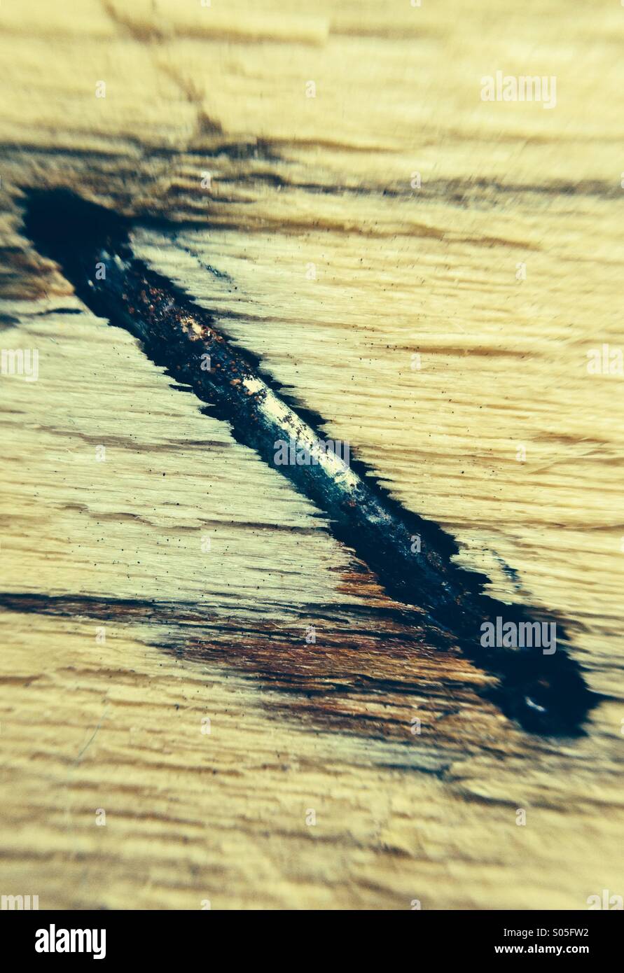 Close up of a rusting staple in wood Stock Photo - Alamy