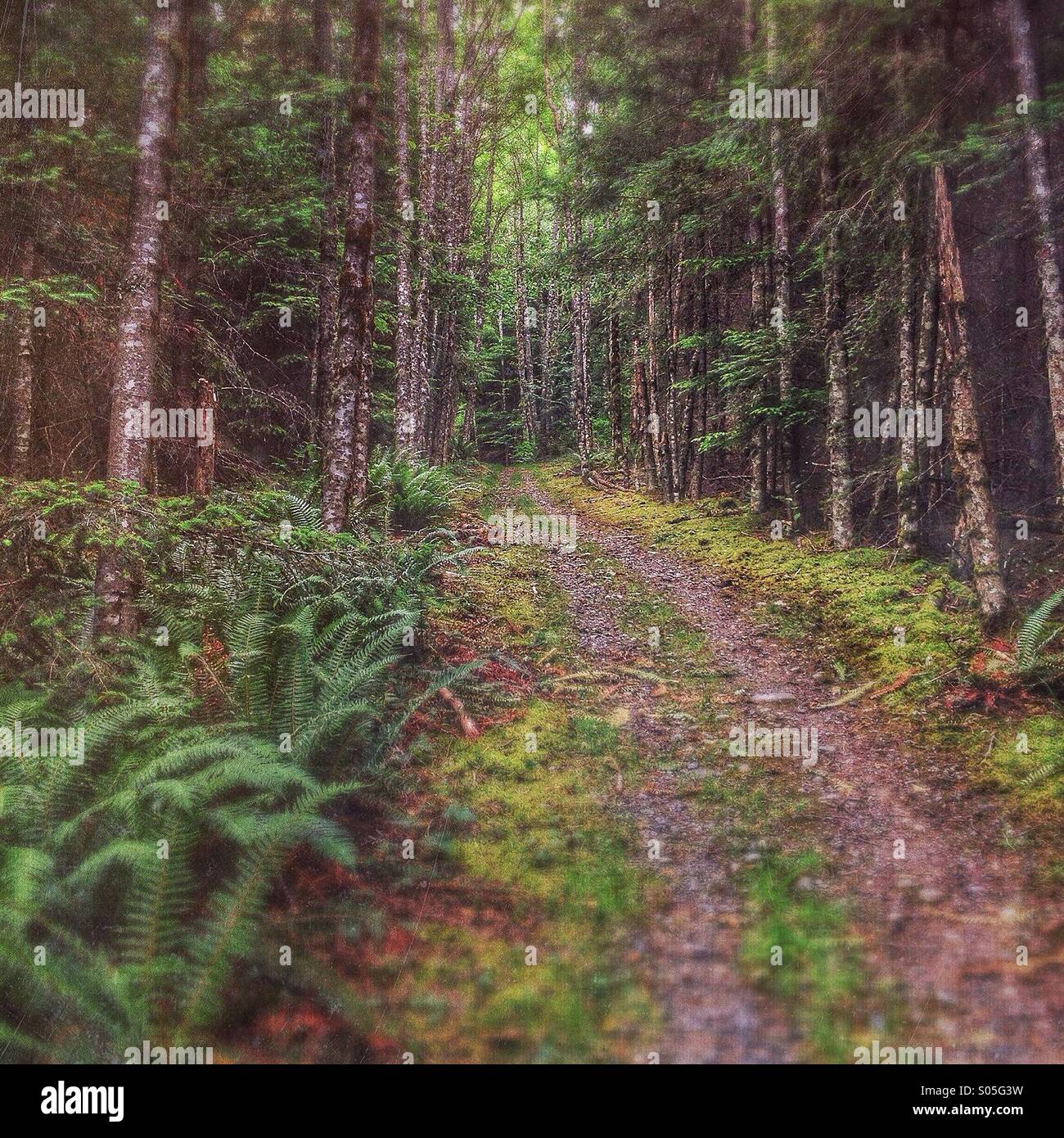 Lost lake trail hi-res stock photography and images - Alamy
