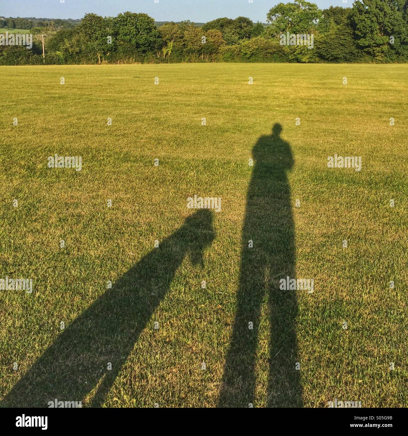 Long shadows of man and dog in a field Stock Photo - Alamy