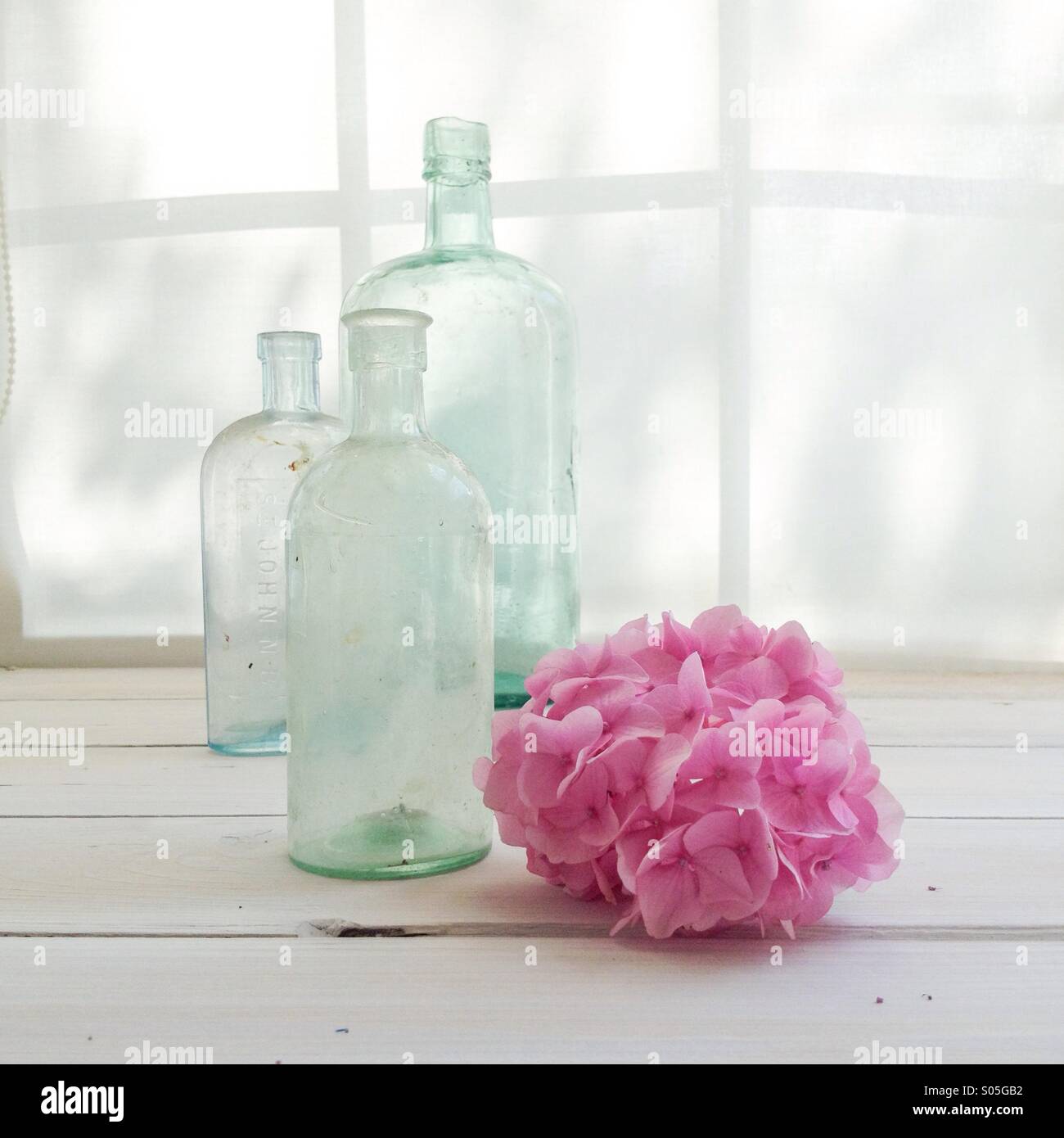Vintage glass bottles with pink hydrangea on window sill bathed with ...