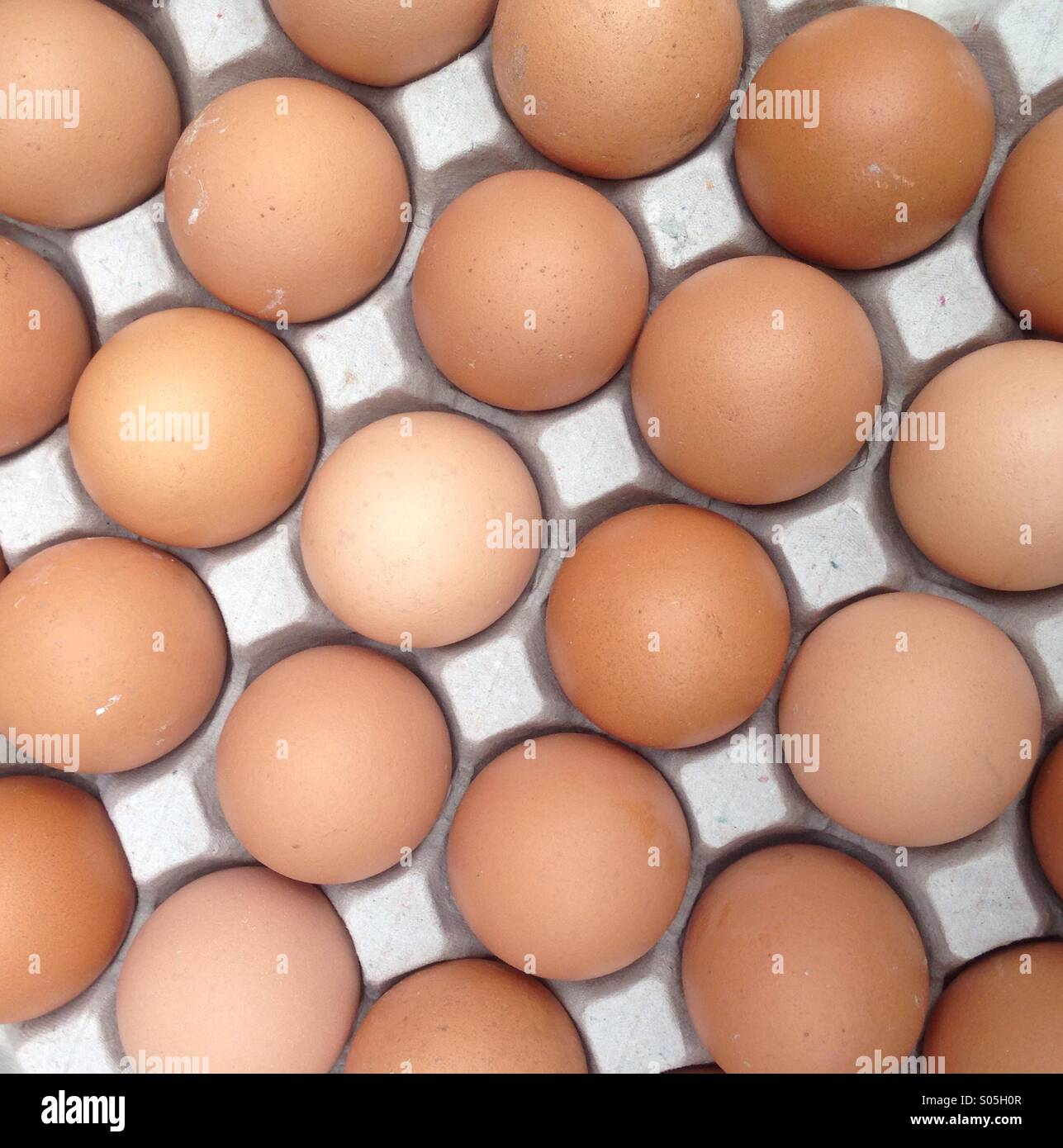 Row of eggs hi-res stock photography and images - Alamy