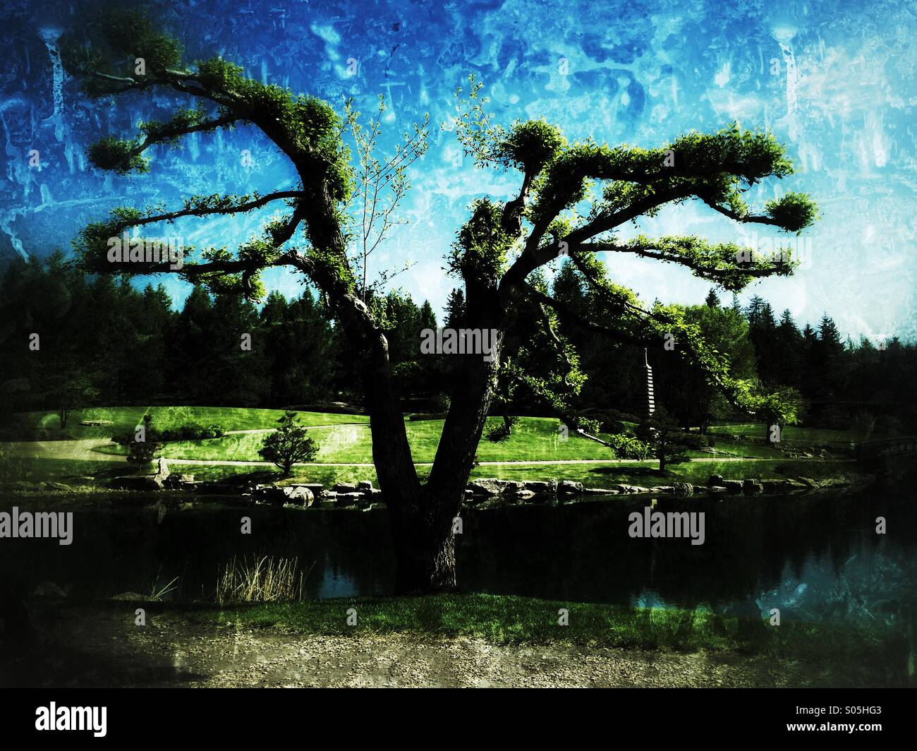 A grunge tree Stock Photo - Alamy