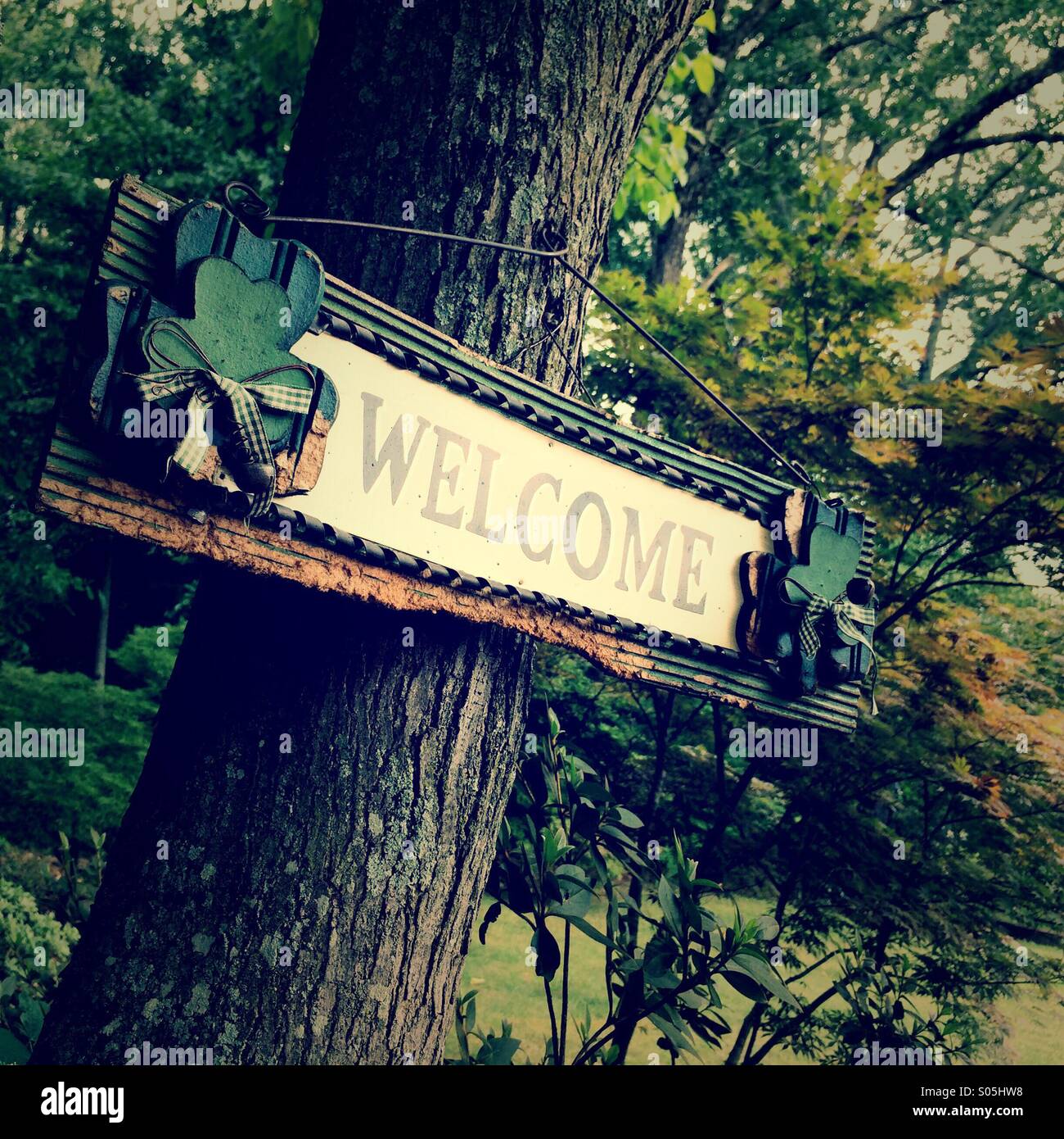 Welcome sign on a tree Stock Photo - Alamy