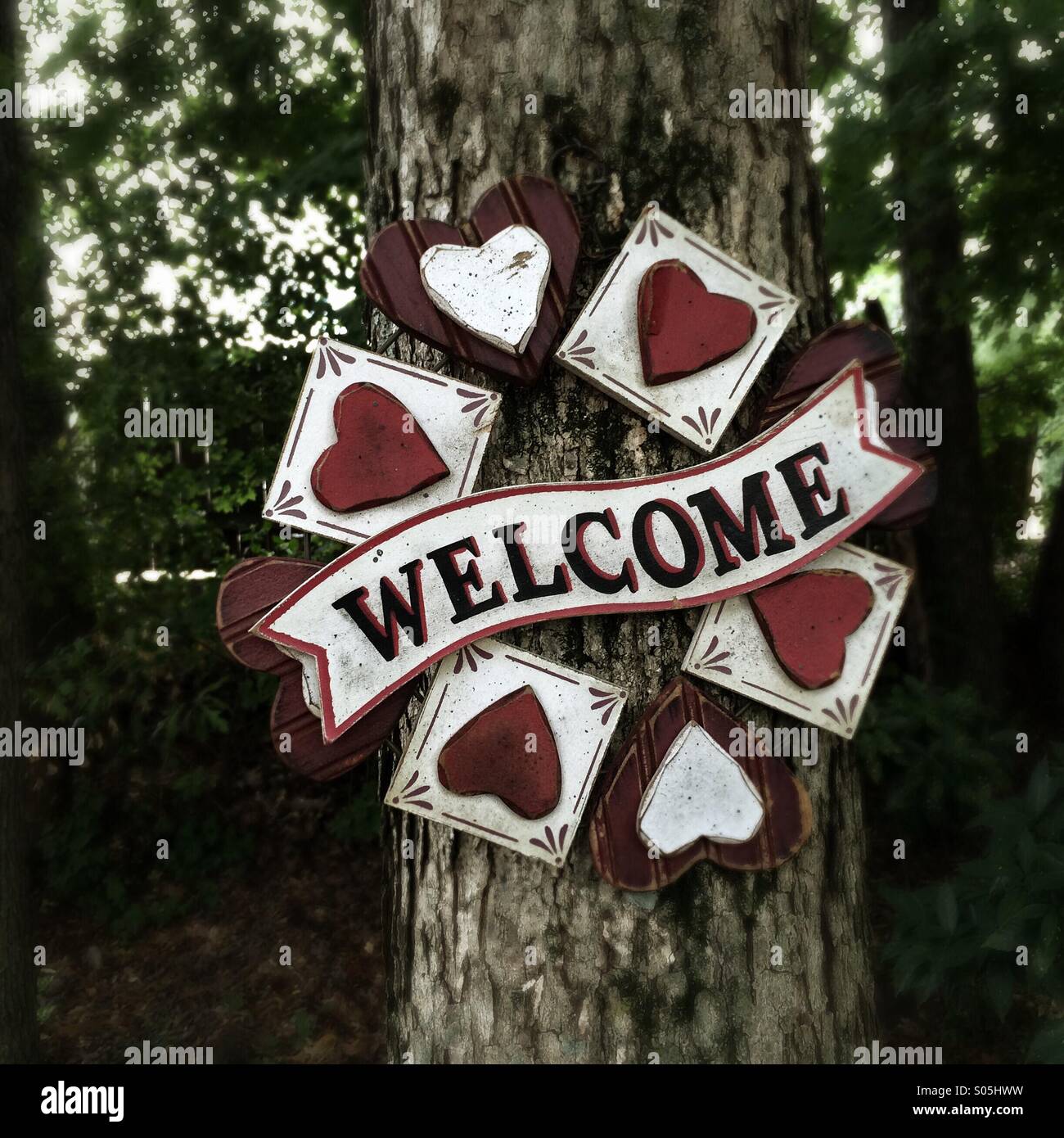 Love writing on tree hi-res stock photography and images - Alamy