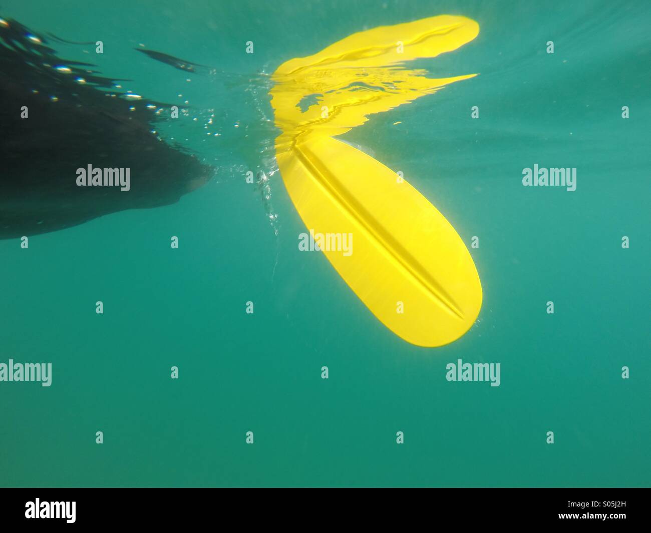 Paddeling hi-res stock photography and images - Alamy