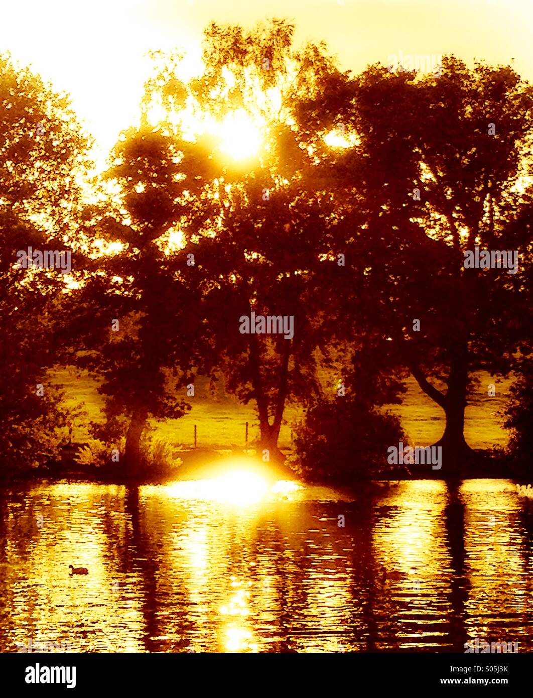 Sun setting over lake Stock Photo - Alamy