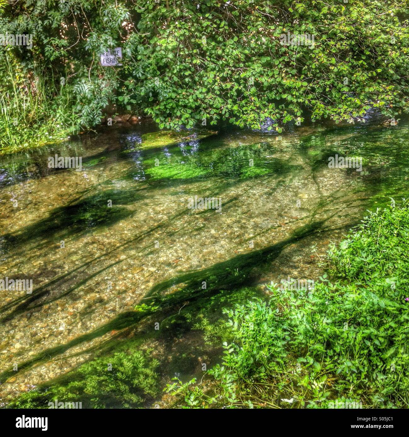 Alresford river alre hi-res stock photography and images - Alamy