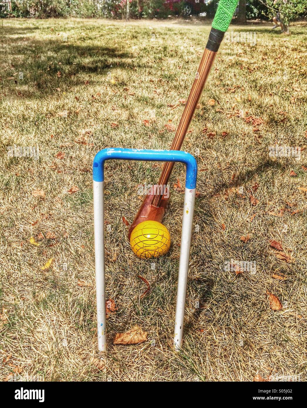 Croquet ball hi-res stock photography and images - Alamy