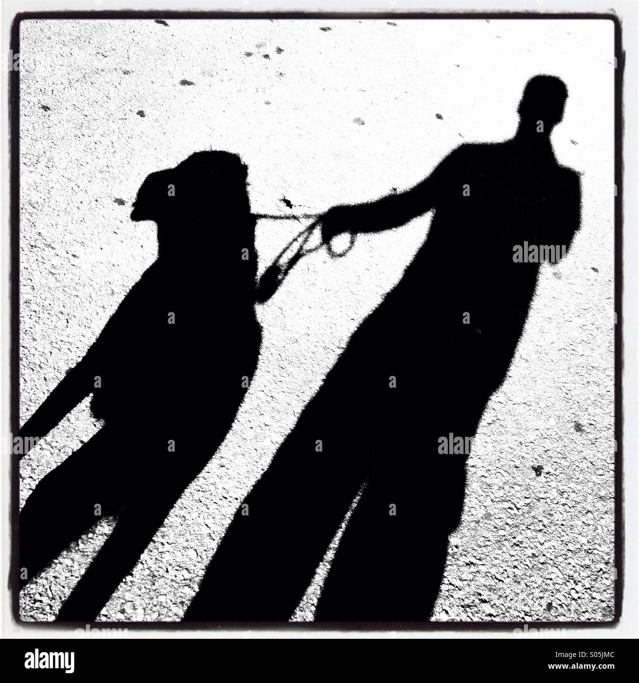 Walking A Dog Stock Photos & Walking A Dog Stock Images - Alamy