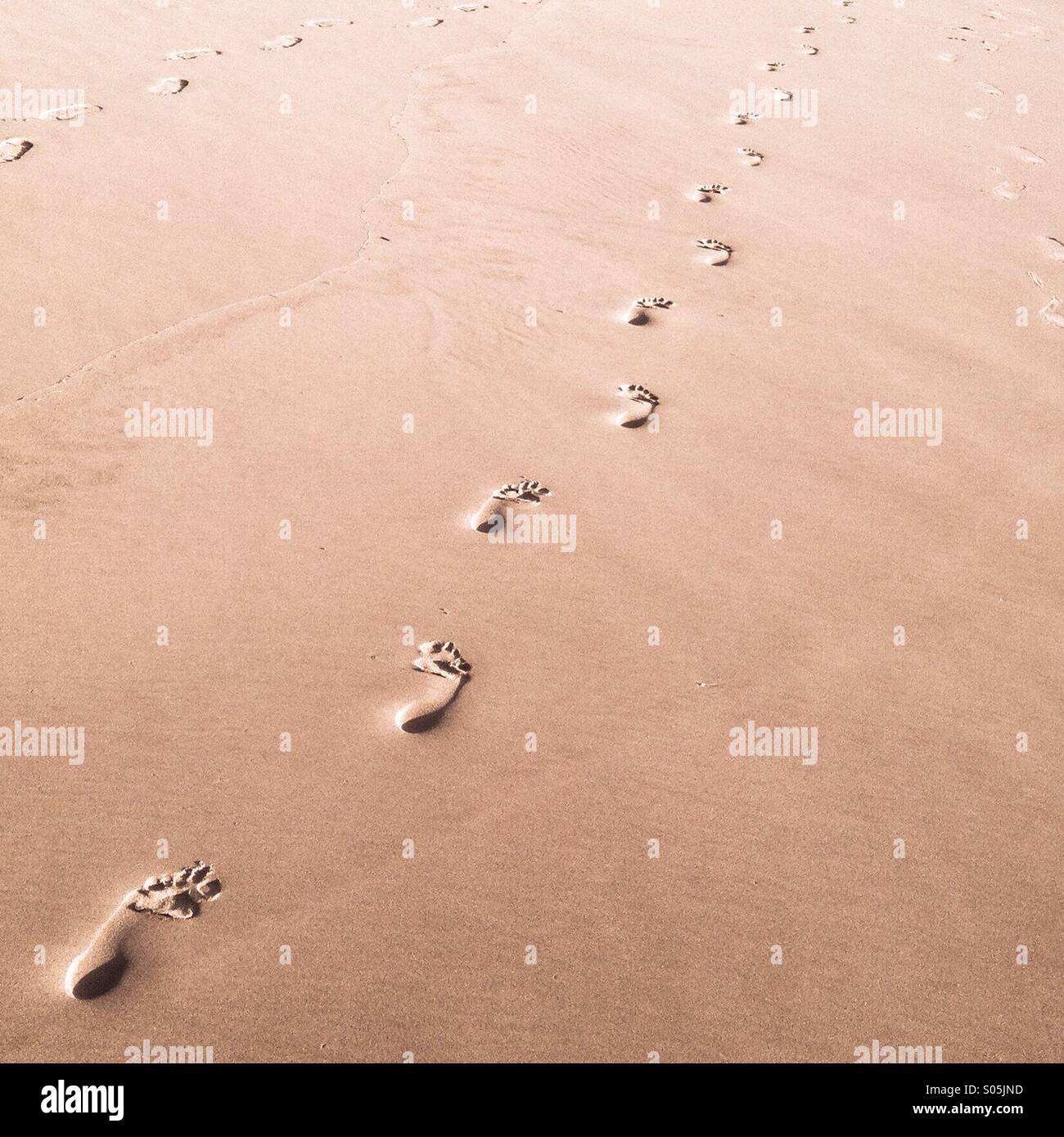 Footprints on beach leading into distance Stock Photo - Alamy