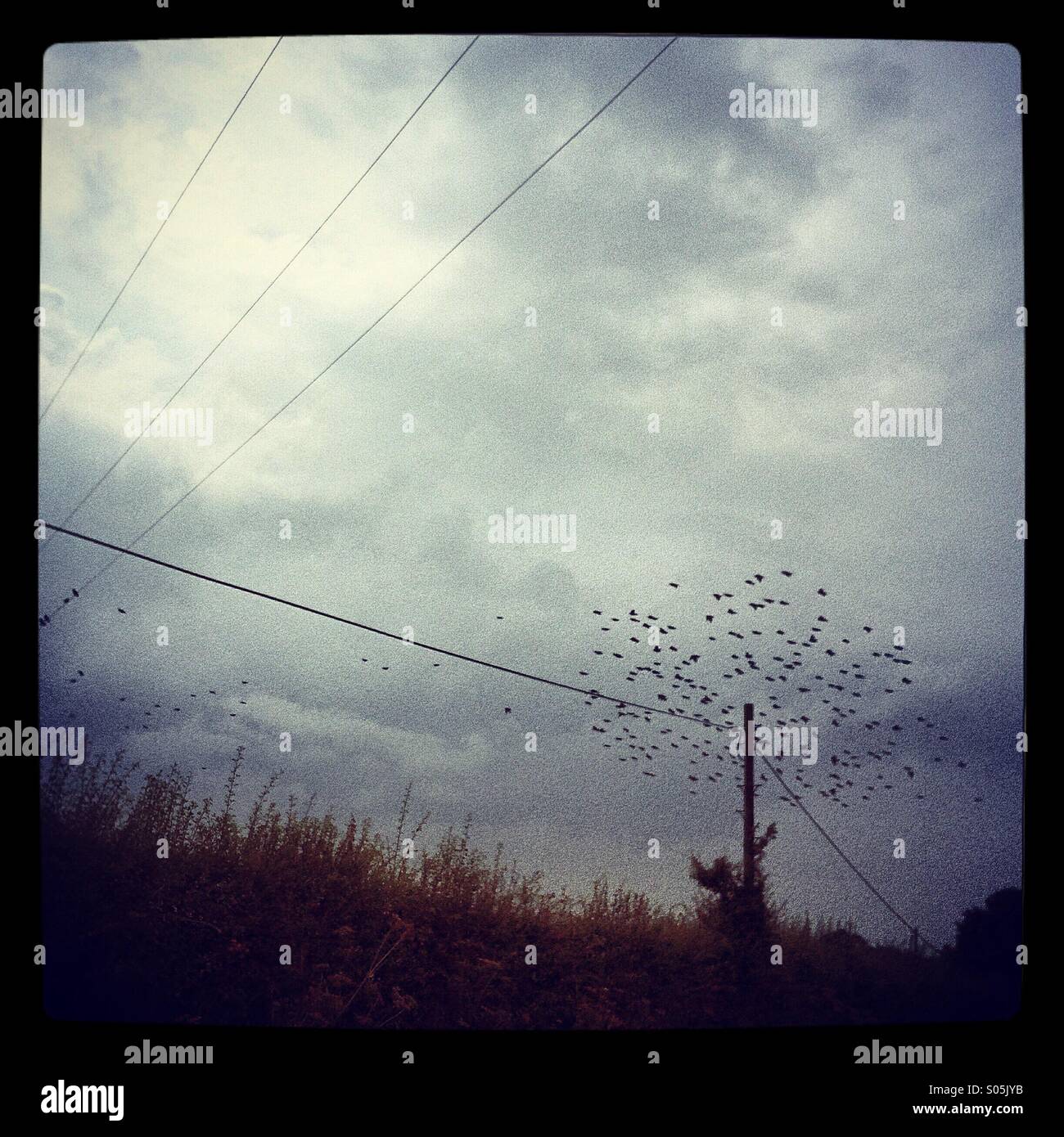 Flight lines hi-res stock photography and images - Alamy